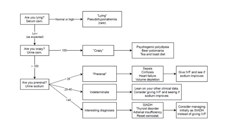 Sodium Abnormalities - Medicine Digital Learning