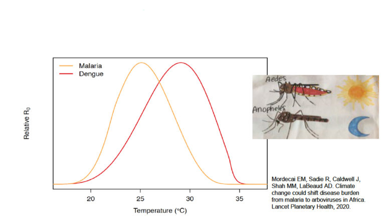 Vector-Borne Disease - Elson S. Floyd College Of Medicine Learning