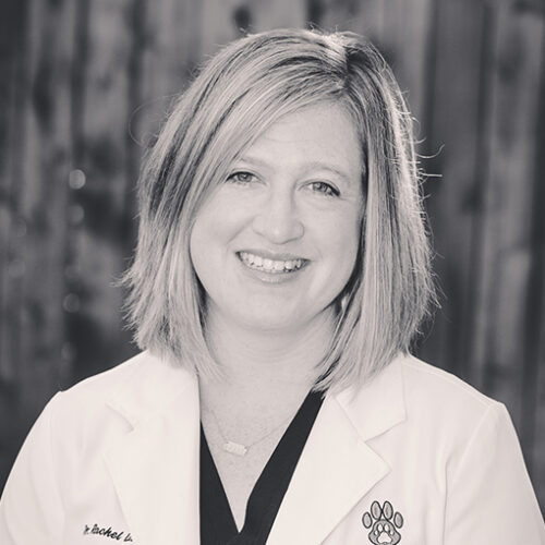 Rachel Larson - Medicine Digital Learning
