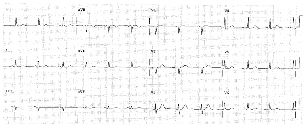 Axis: The Science of Direction Worksheet - Medicine Digital Learning