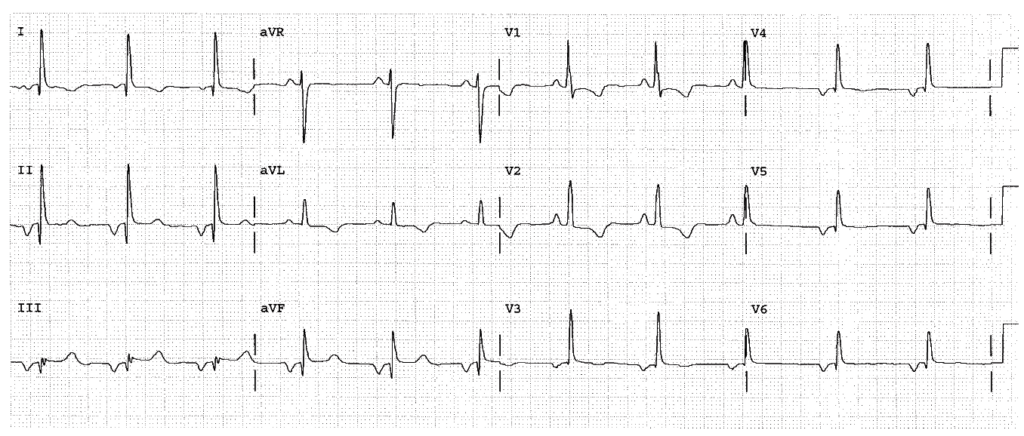 Axis: The Science of Direction Worksheet - Medicine Digital Learning