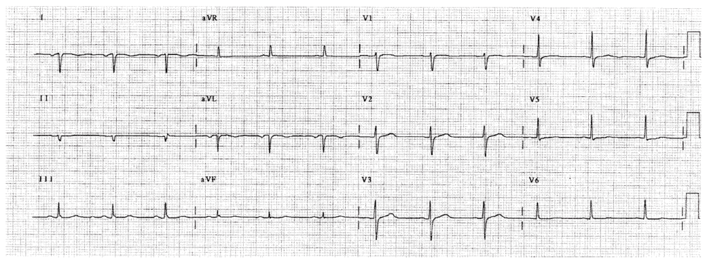 Axis: The Science of Direction Worksheet - Medicine Digital Learning